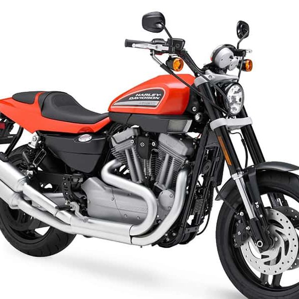Harley Davidson XR 1200 - American Rider